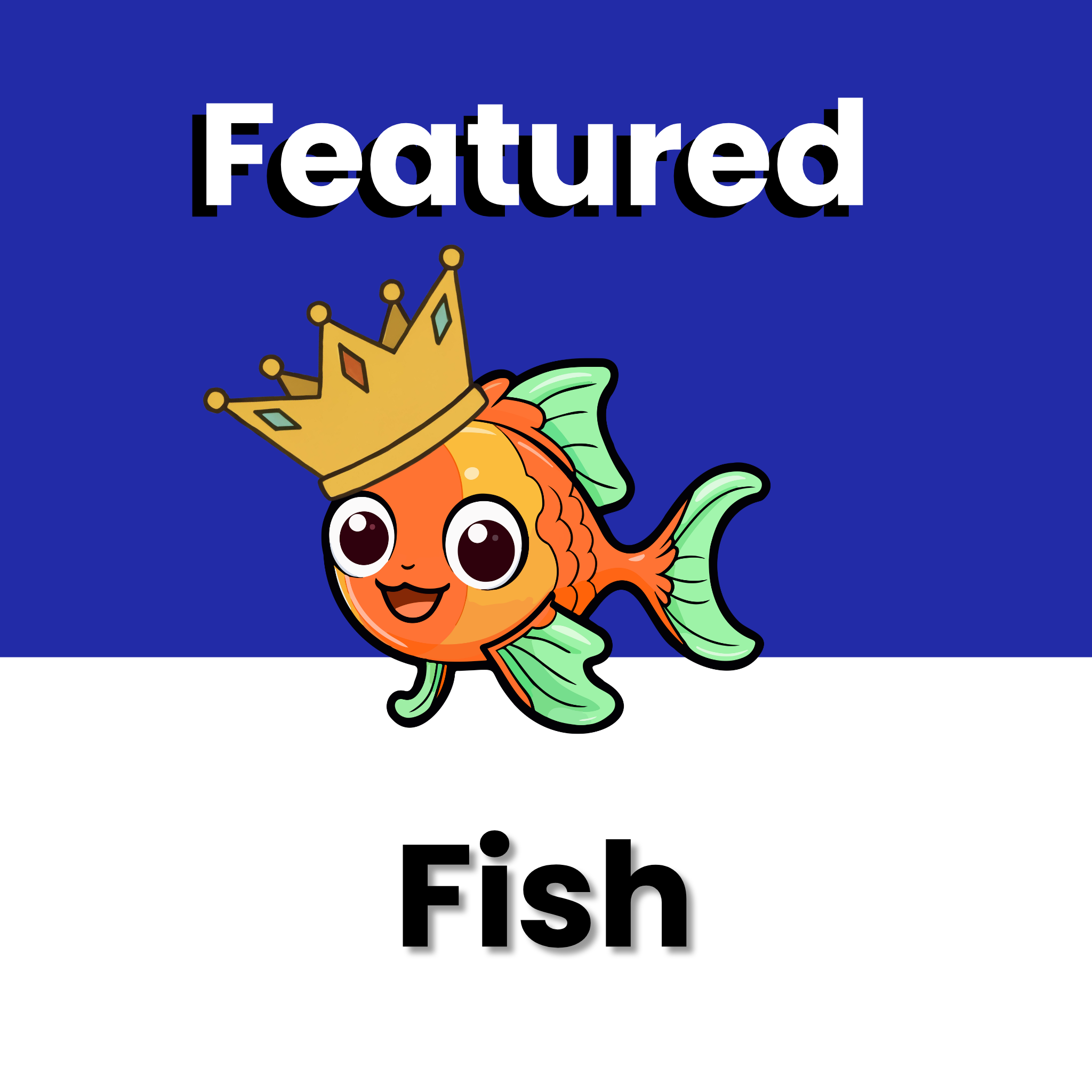 Featured Fish - Standout Aquarium Species – Ripple Effect Aquatics