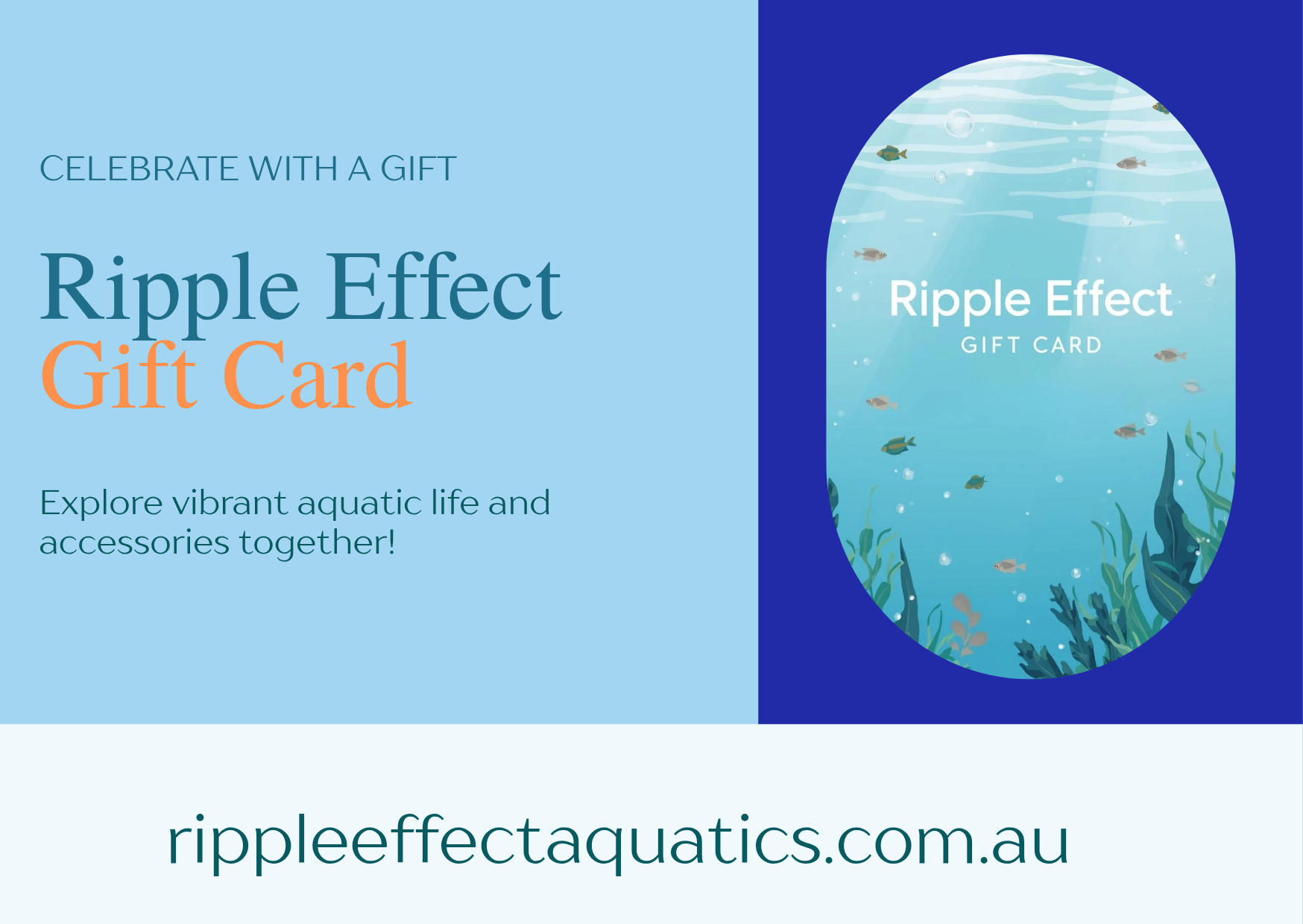 Ripple Effect Gift Card – Ripple Effect Aquatics