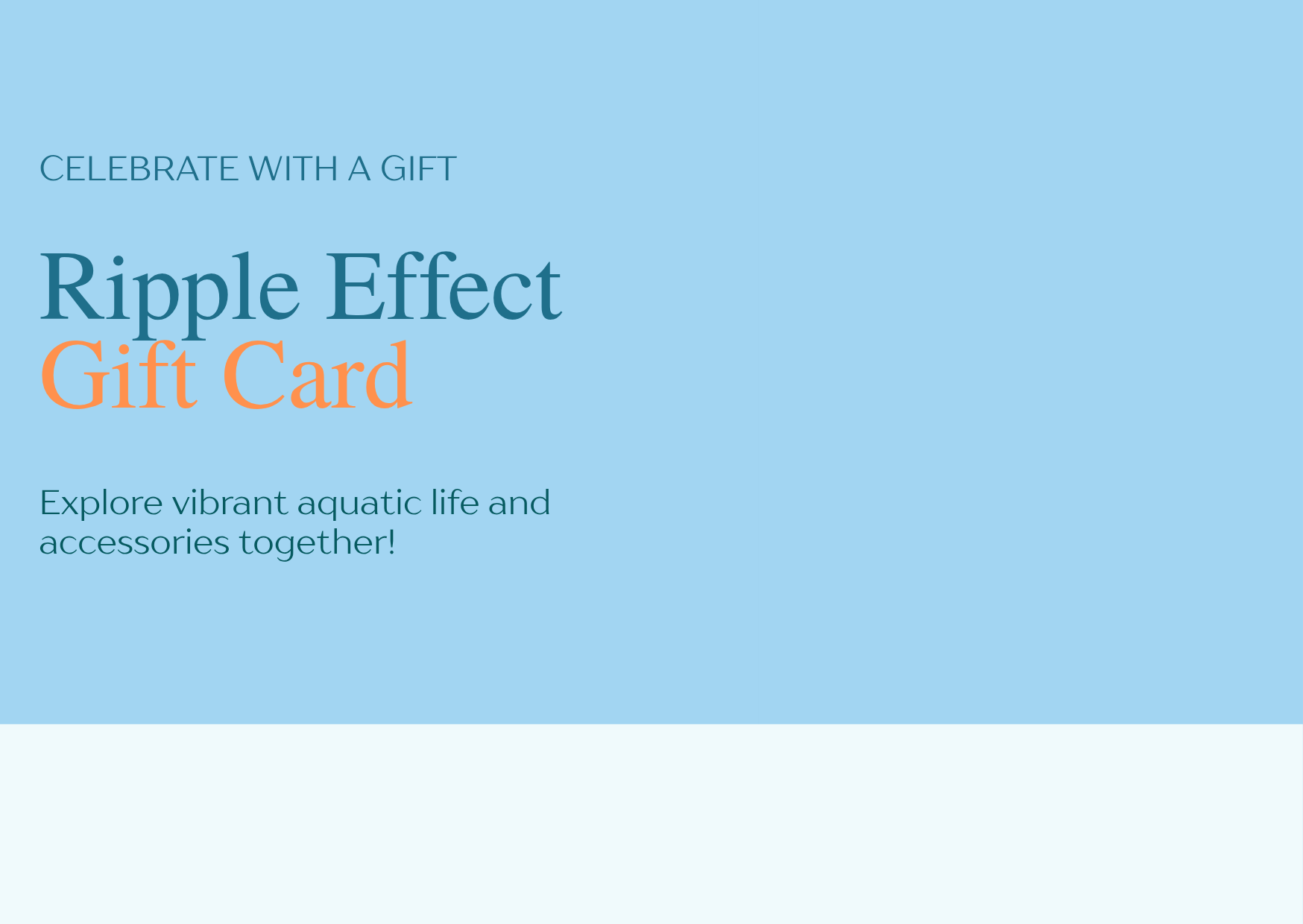 Ripple Effect E-Gift Card – Ripple Effect Aquatics
